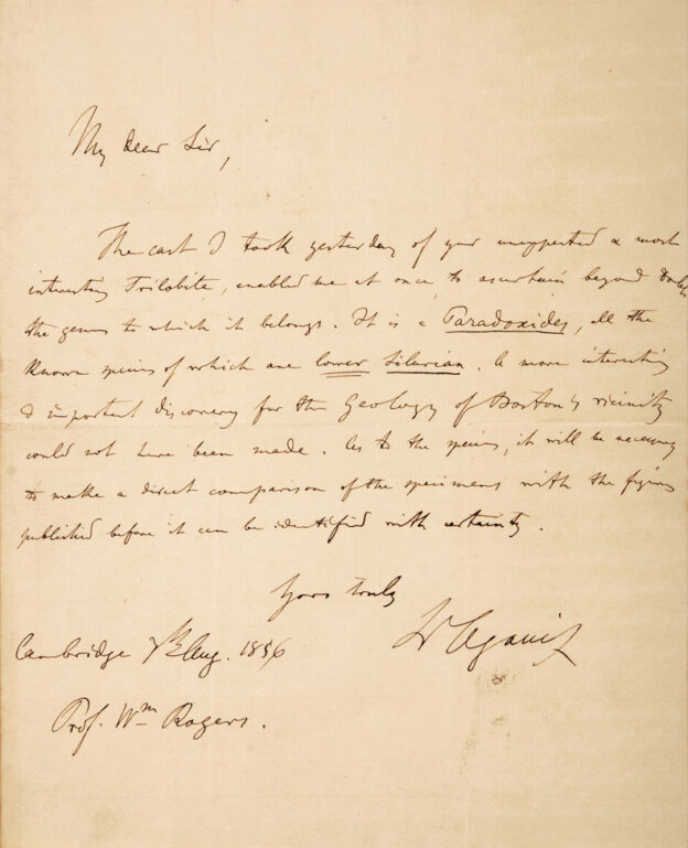 Institute Archives | Distinctive Collections