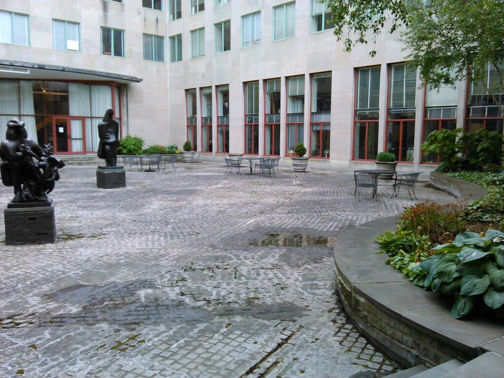 Library Courtyard | News