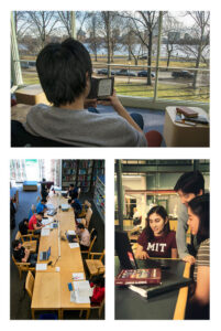 Hayden library collage | News