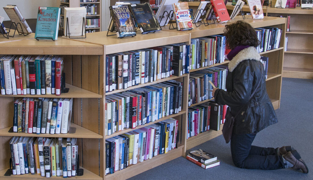 Hayden bookshelf | News