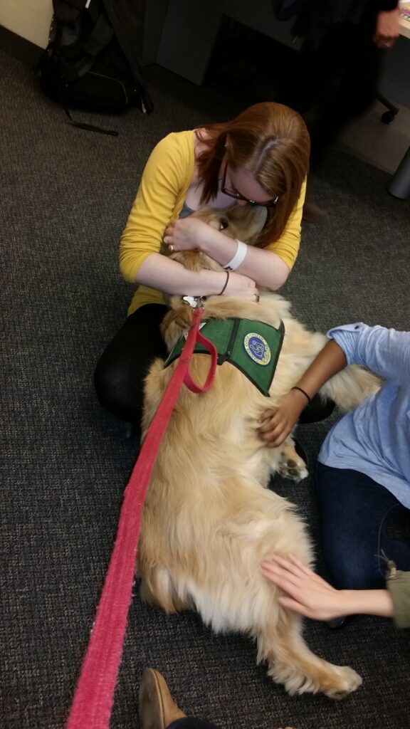 therapy dog bailey hug | News