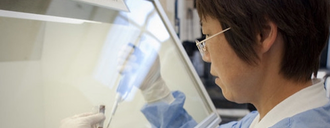 Science Snippets: Small-Scale Biology with Large-Scale Impact | News