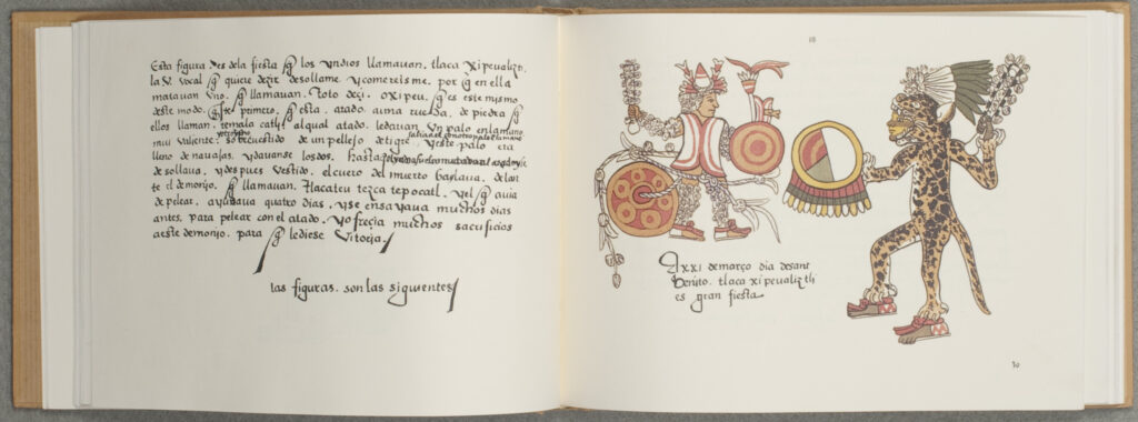 Year 123 – 1983: The Codex Magliabechiano and the Lost Prototype of the ...